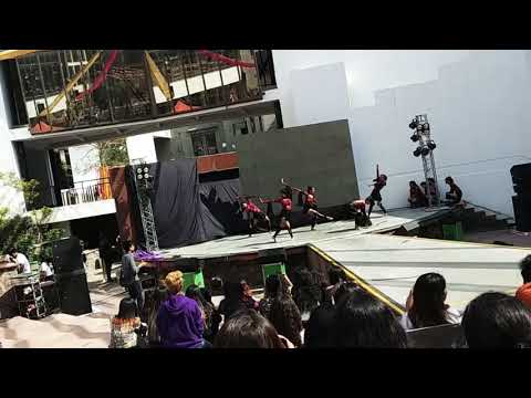 Nift Delhi Spectrum Dance performance| 2019 | Miranda girls
