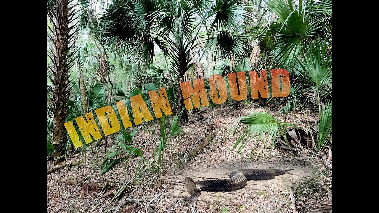 Mayaca Indian Mound Adventure in Ocala National Forest - YouTube
