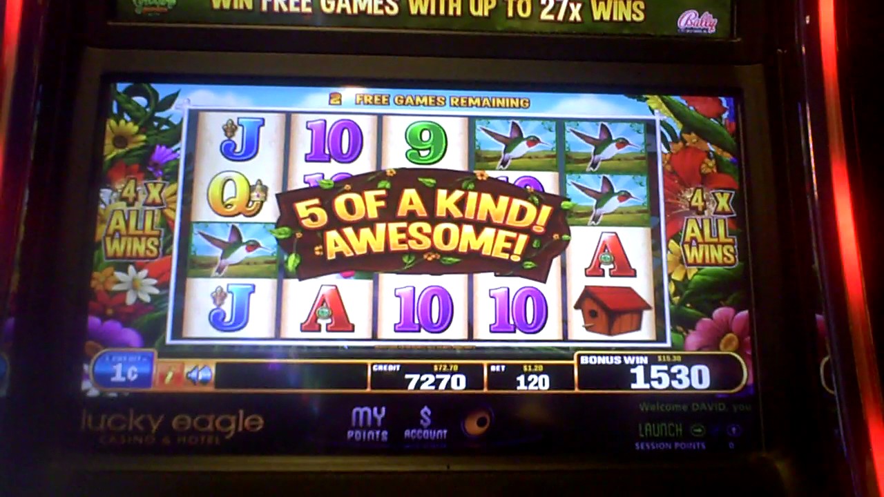 Hummingbird Honey Slot Machine Bonus - YouTube