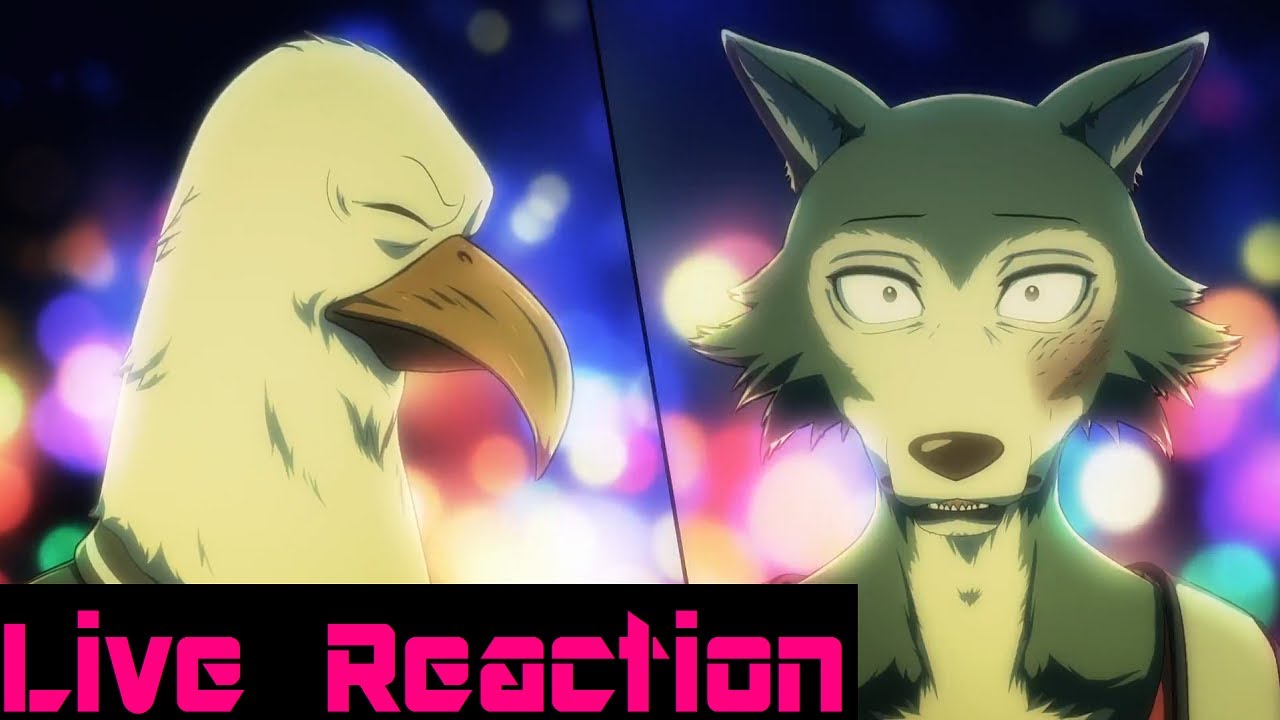 Beastars Episode 6 Live Reaction - YouTube