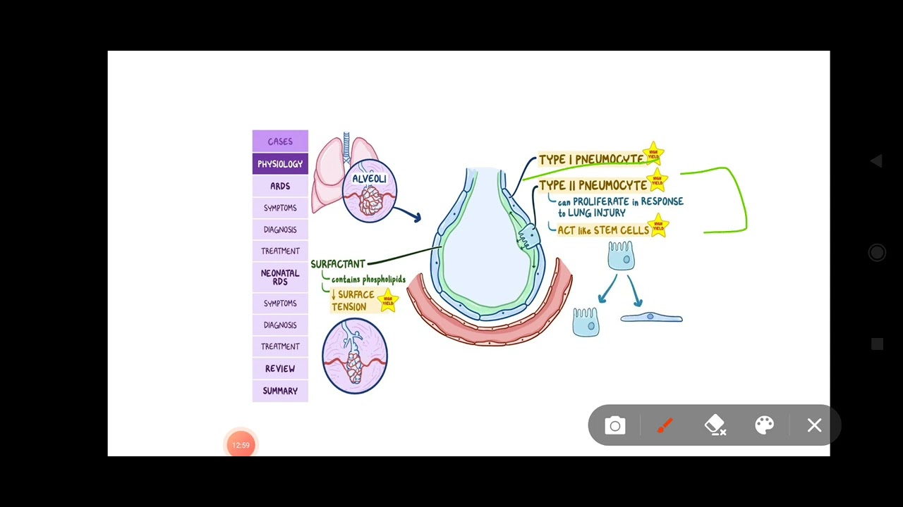 Pdcet 2024 Pedia Crash Course Lecture 1 #pdcet #crashcourse #pediatrics ...