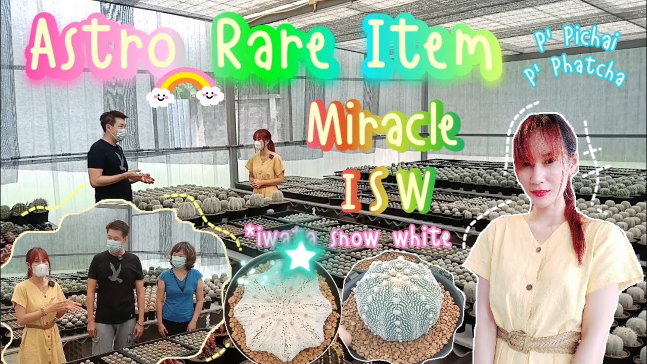 💕คุยกับกูรูไม้แรร์ Astro. Miracle, ISW, Nouhakuten | พี่พิชัยพี่พัดชา | EP. 87 @wanverrchannel ...