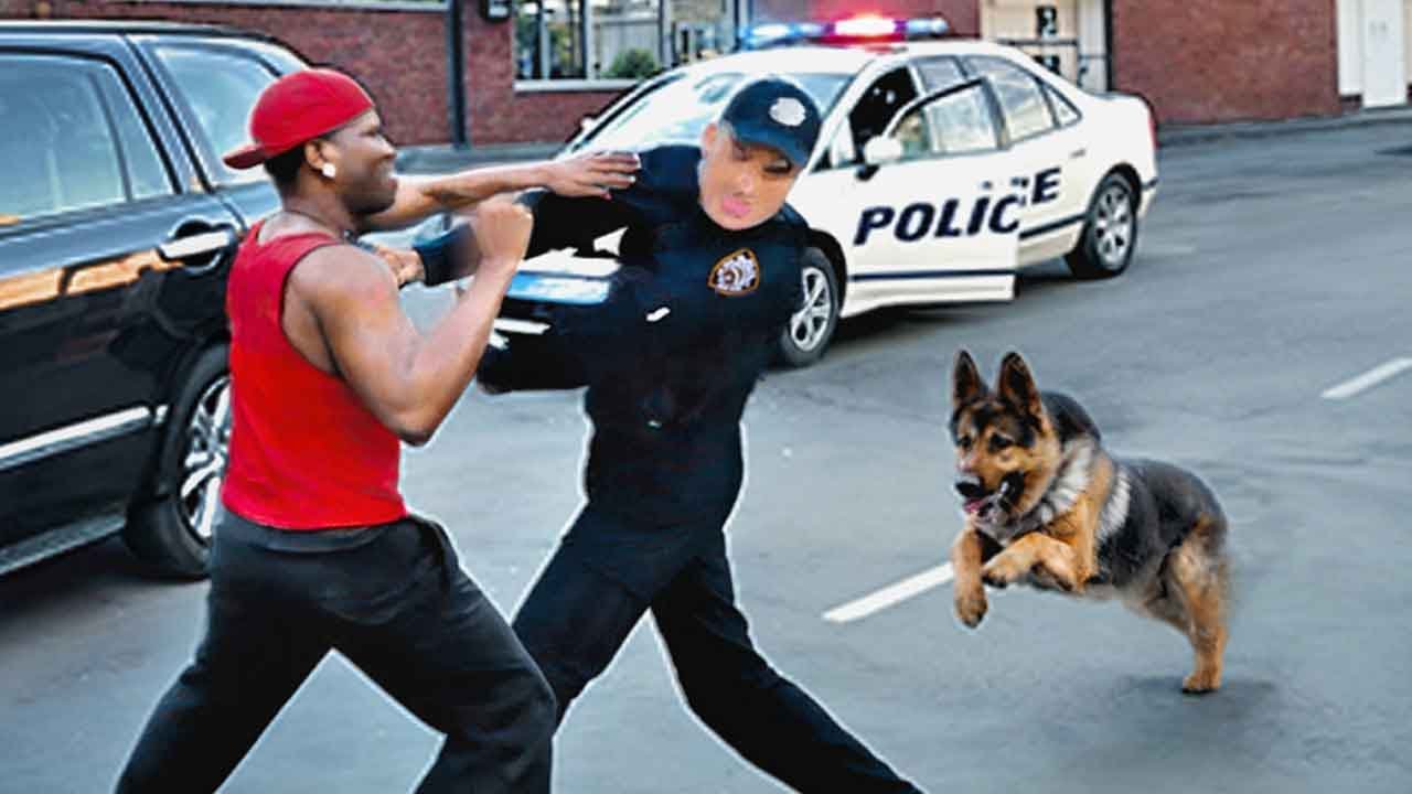 When Cops Are Saved By Police Dogs - YouTube