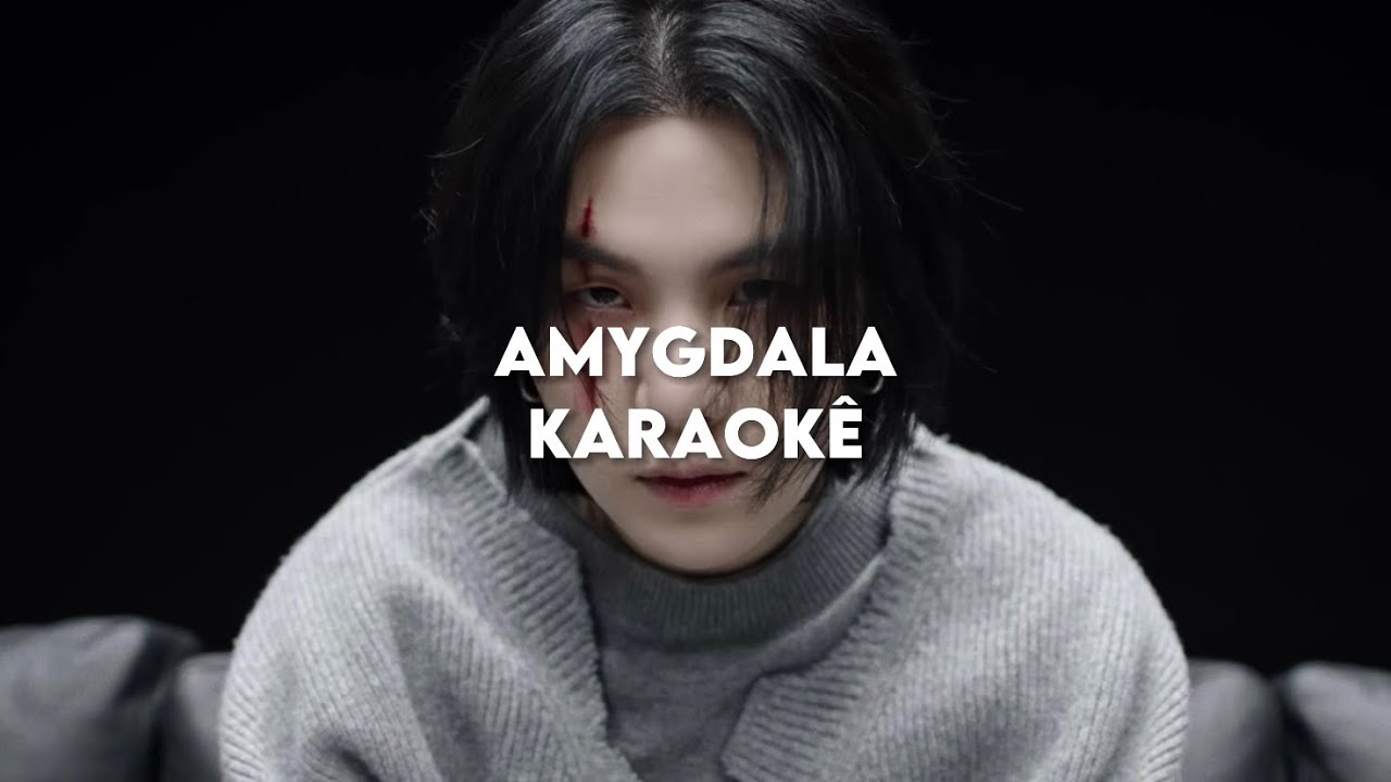 AMYGDALA (AGUST D) - KARAOKÊ - YouTube