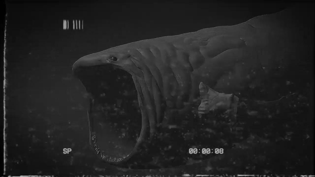 The bloop 1956 found footage || The Brink || - YouTube