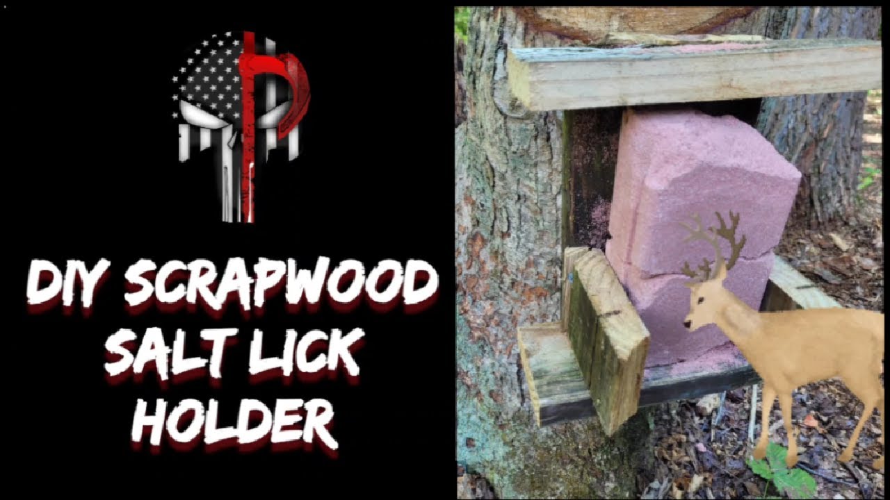 DIY Scrapwood Salt Lick Holder - YouTube