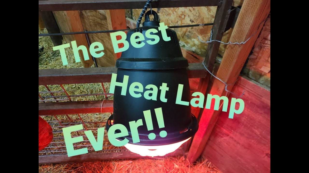The Best Heat Lamp On The Market (In My Opinion) - YouTube