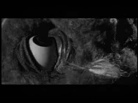Toofy Shorts Vol. 1 DVD - YouTube