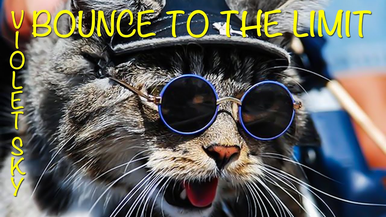 Buddy fly here and I will give you a smile and a great mood !!! Bounce ...