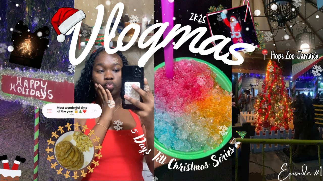 VLOGMAS 🎅🎄|Hope Zoo’s ZOOLIGHTS,Life Recap,Making Pancakes from Scratch ...