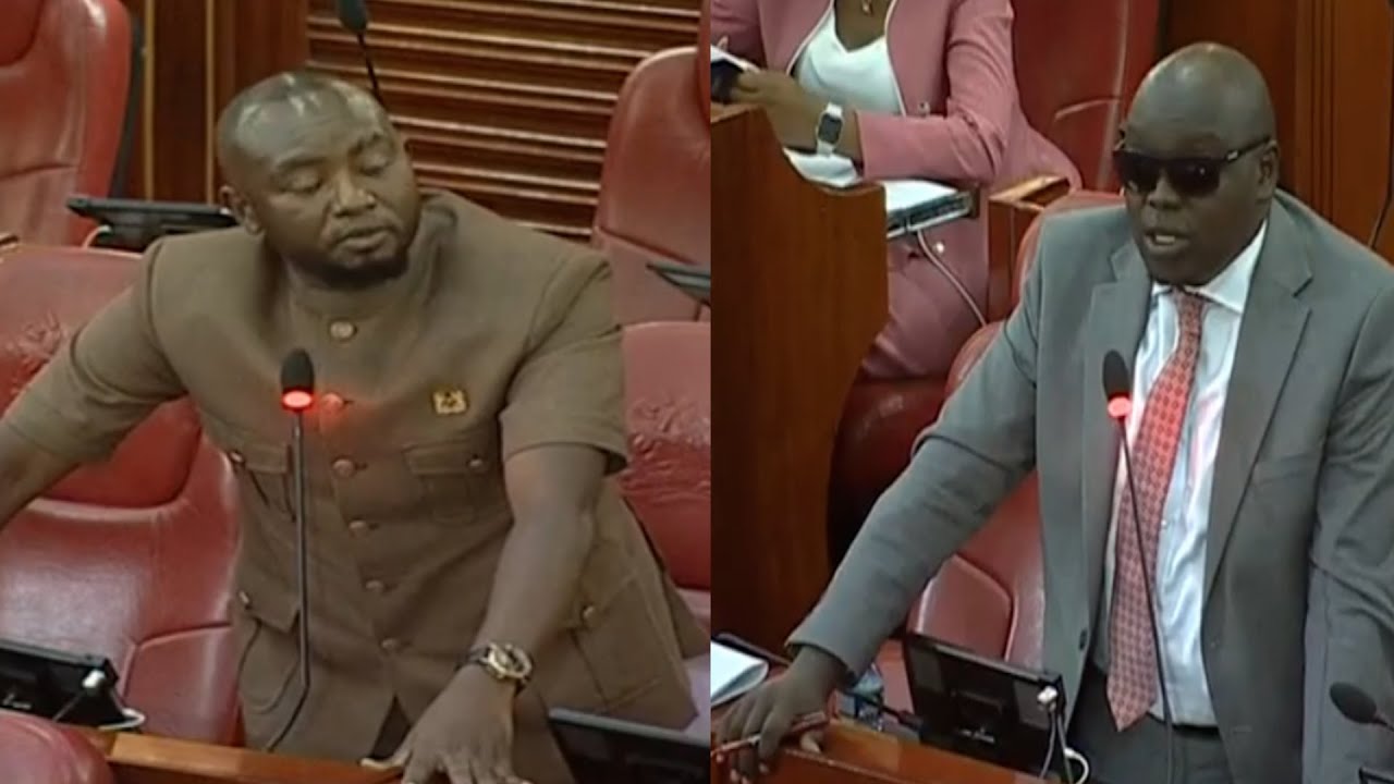See drama in Parliament as two UDA senators, Cherargei and Murango ...