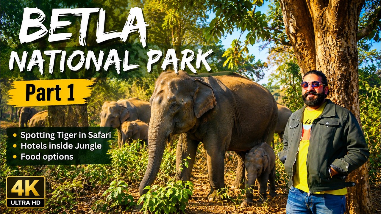 Tiger spotting in BETLA National Park - Jungle wildlife Safari - Betla ...