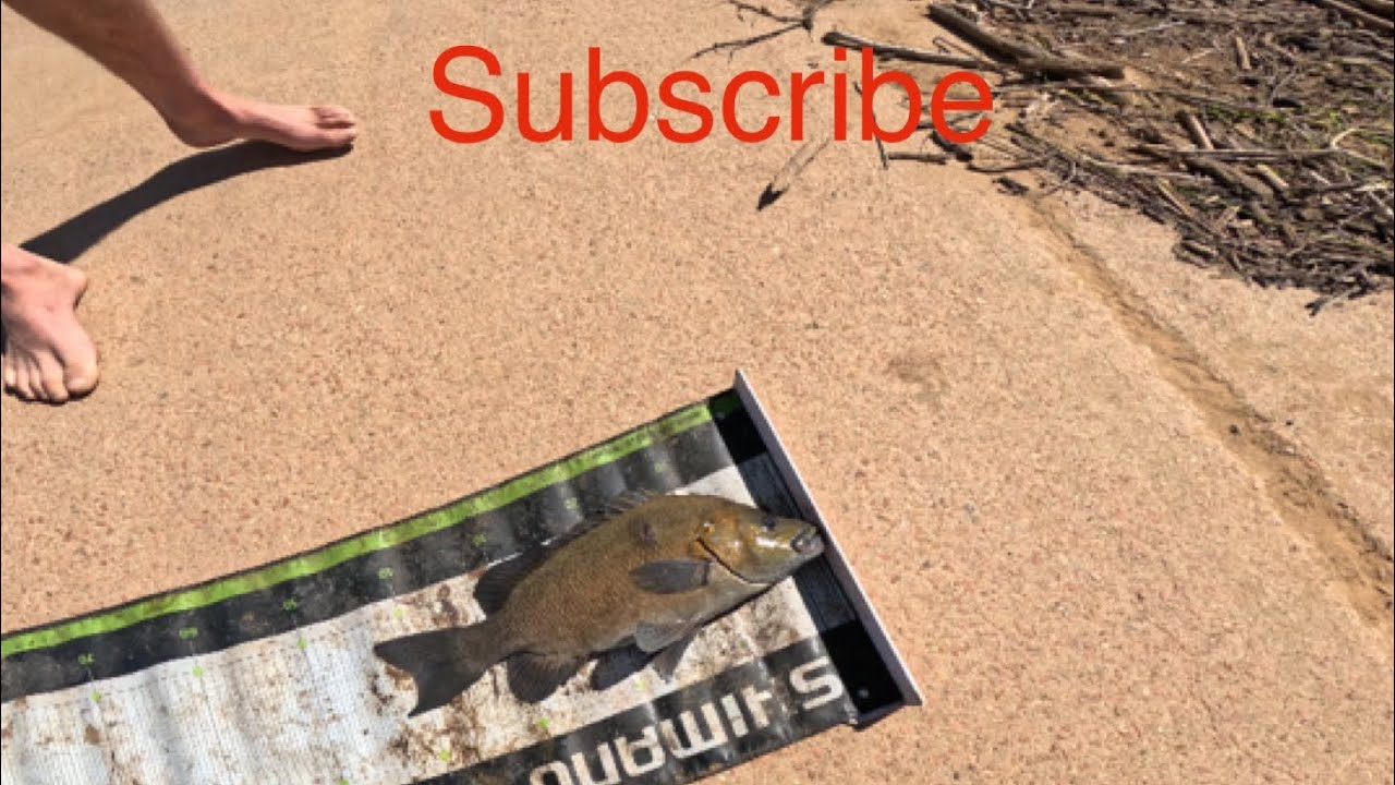 Fishing for big sooty’s and sleepy cod - YouTube