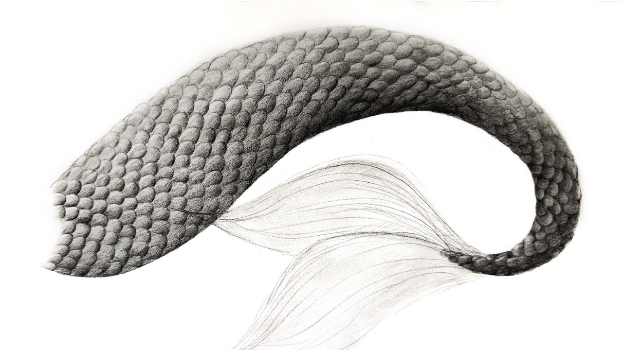 How To Draw Scale Texture With Pencils - YouTube