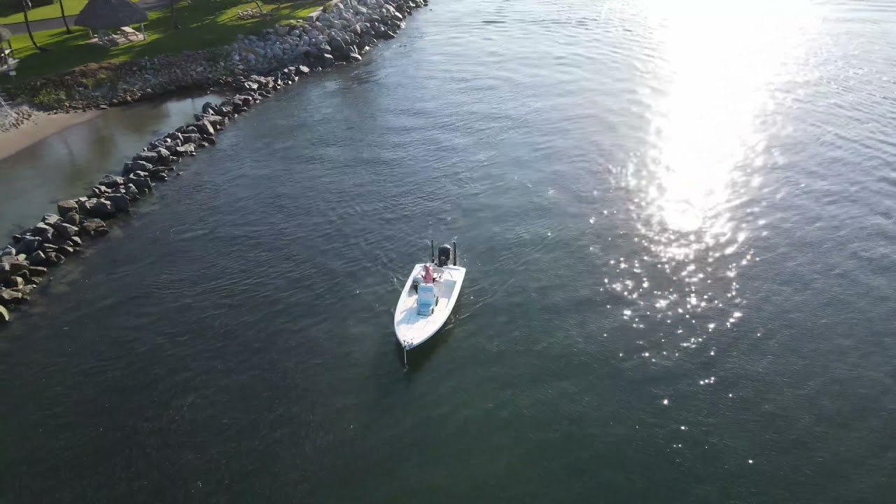 Mullet Run pod footage off of Jupiter Inlet Florida (drone footage only ...