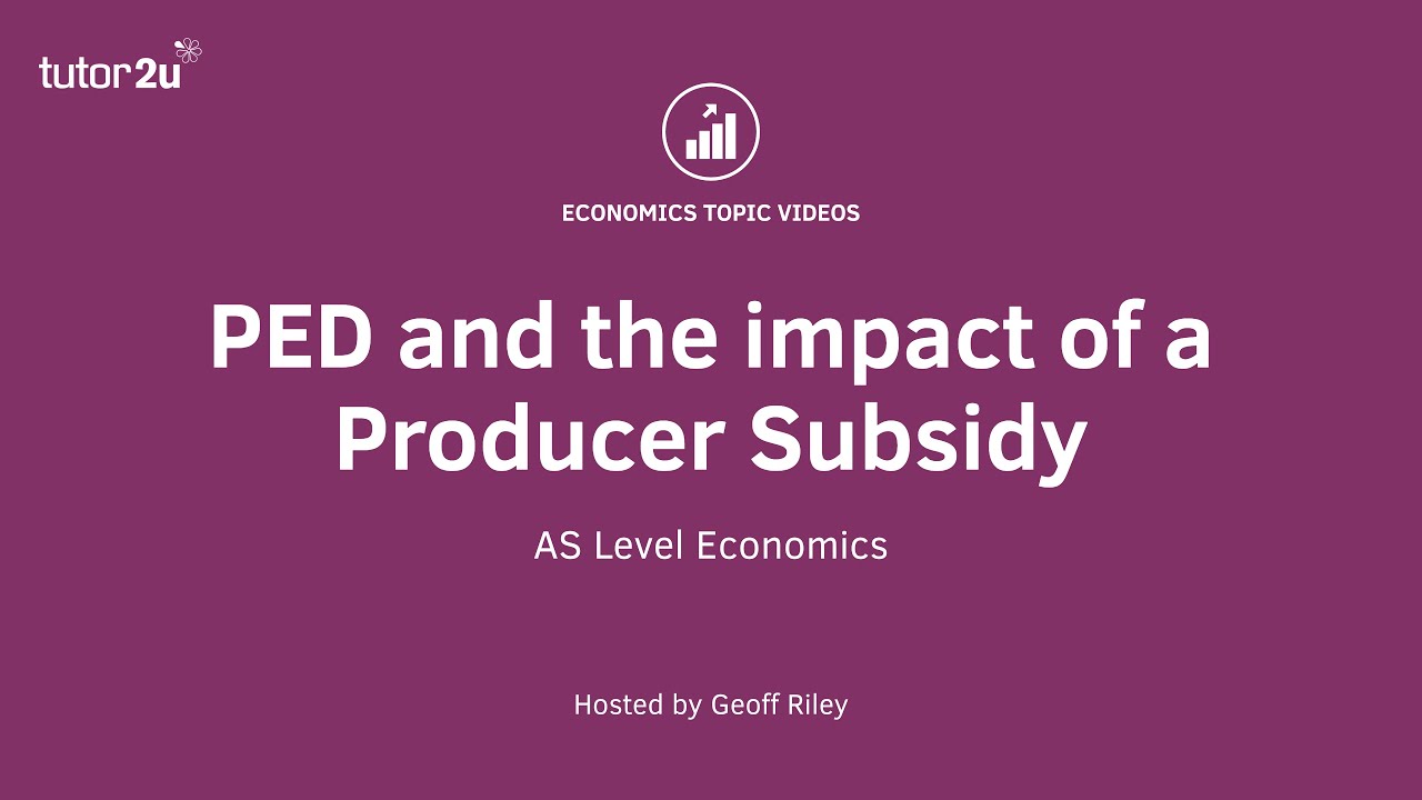 PED and the Impact of a Producer Subsidy I A Level and IB Economics ...