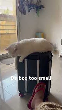 The box too small - YouTube