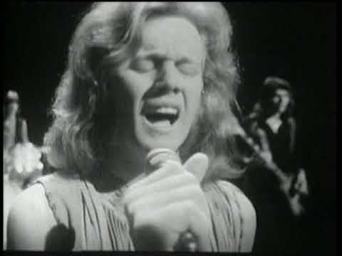 Zoot - Eleanor Rigby (Stereo) - YouTube Music