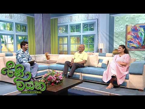 Pini Viyana - (2026-09-02) | ITN