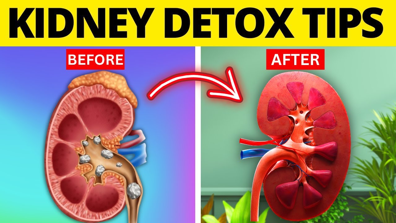 9 Tips to Detox and Cleanse Your Kidneys Naturally - YouTube