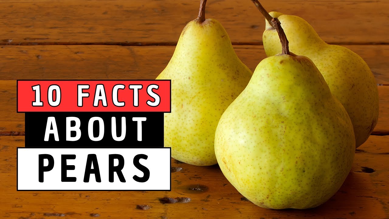 10 Interesting Facts About Pears 🍐 | Surprising Facts About Pears You ...