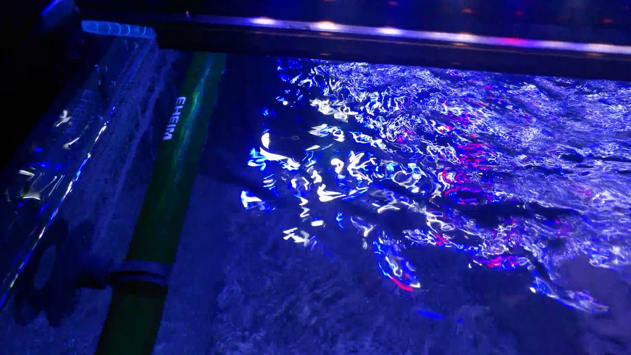 Eheim 2262 - YouTube