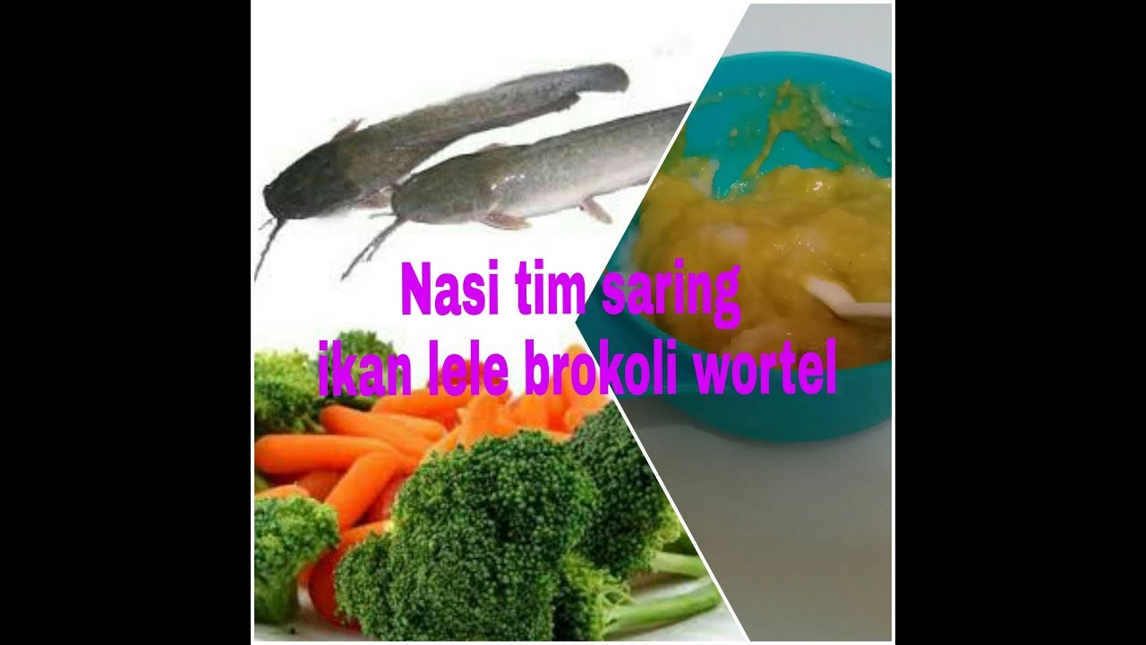 Resep MPASI 8 Bulan Keatas || Nasi Tim Saring Ikan Lele Brokoli Wortel ...