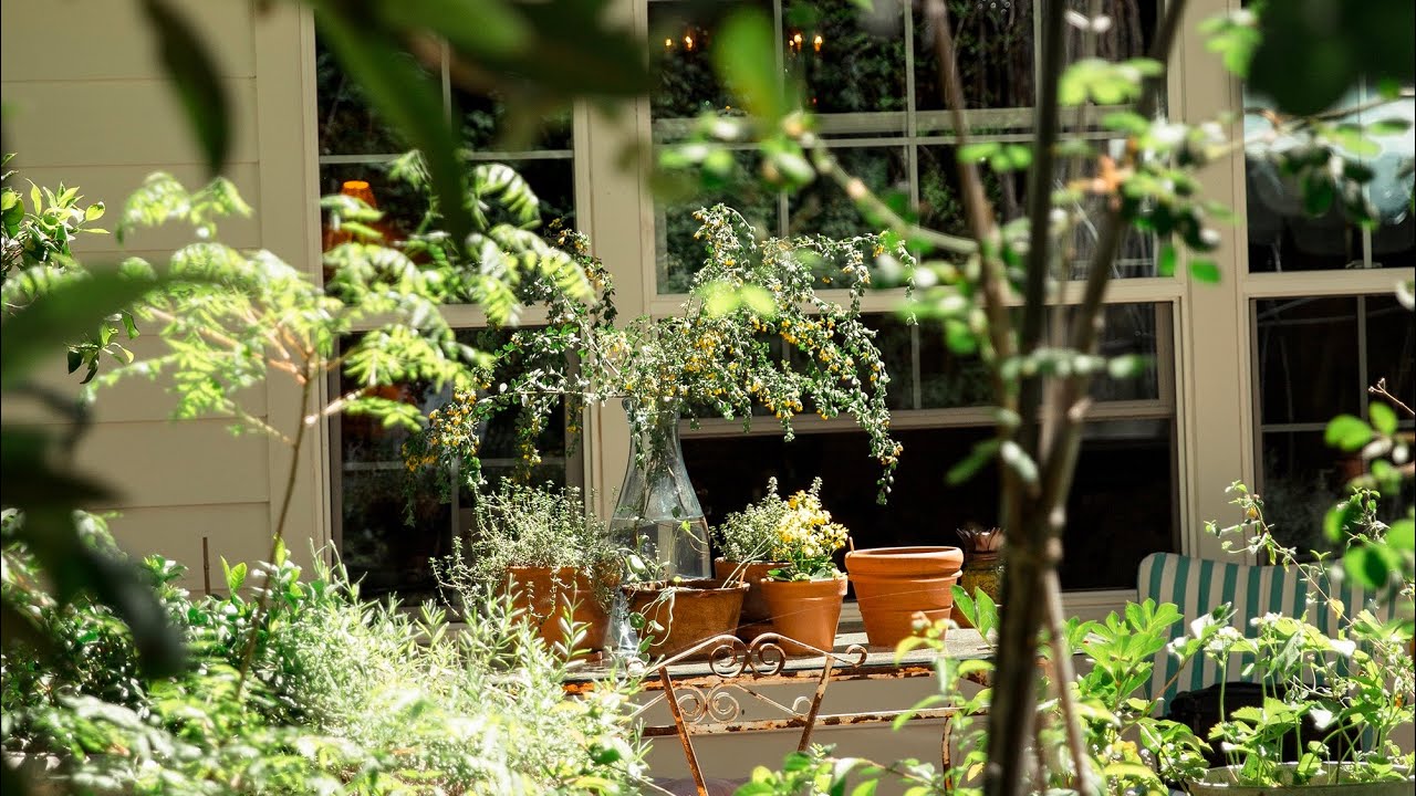 June Gardens at A Schilling Home - YouTube