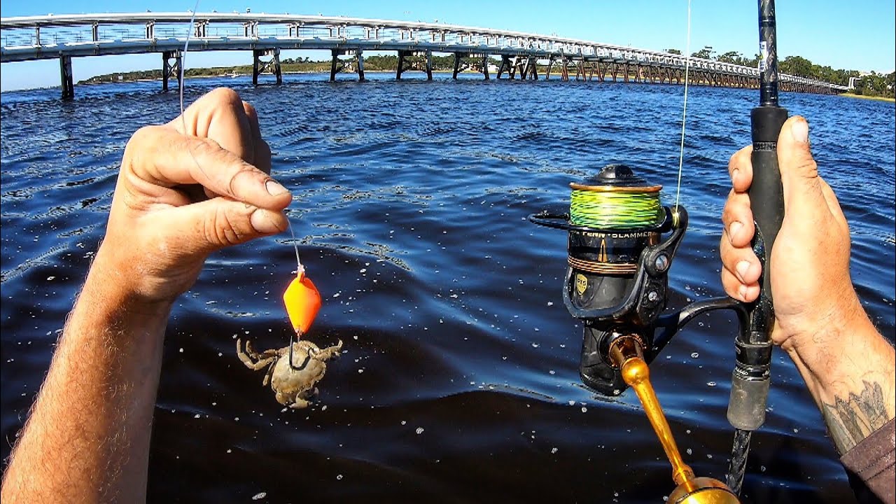 Fishing Live Crabs & Jigs Along Docks For Whatever Bites! - YouTube