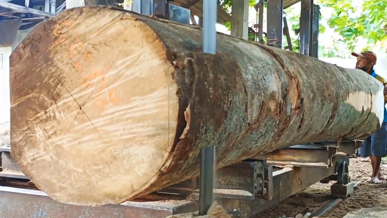 Sawing giant logs 4 meters long which are hard and expensive - YouTube