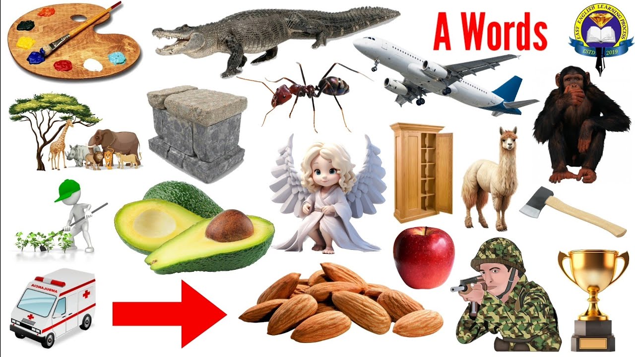 A Words | Vocabulary Words With A | English Vocabulary With Picture ...