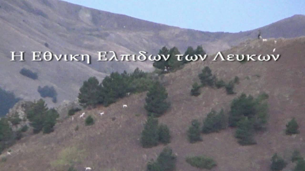 Κυνηγι Λαγου:Grivas Ομορφιες 40: Τα αγαθα κοποις κτωνται. - YouTube