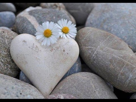 HİÇ BİTMESEN - Kezban Uzun