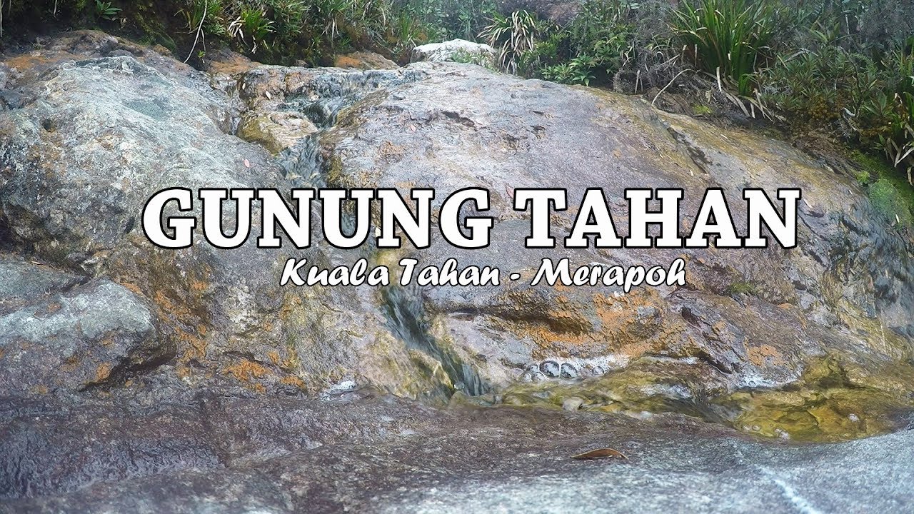 Ekspedisi Gunung Tahan via Kuala Tahan-Merapoh - YouTube