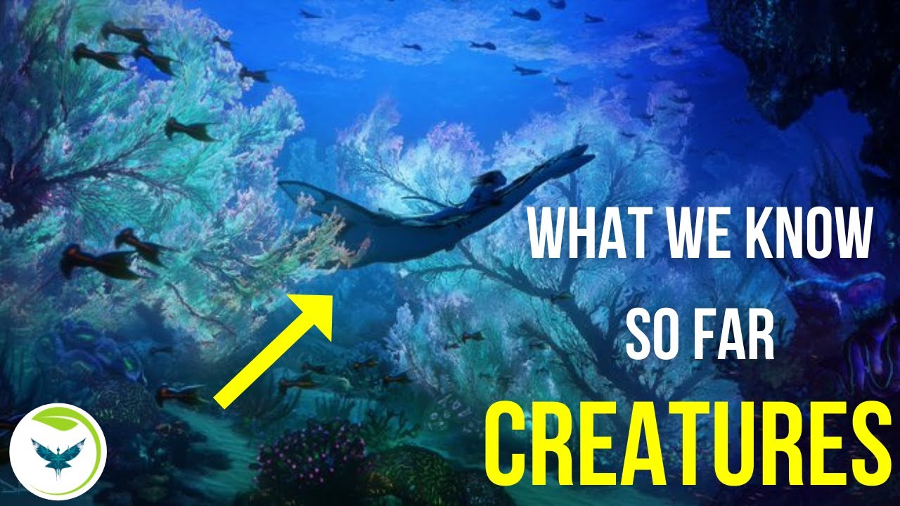 Avatar 2 Way of Water What We Know So Far Creatures - YouTube