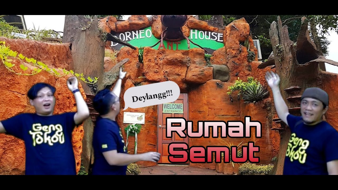 Borneo Ant House, Tuaran Sabah - YouTube