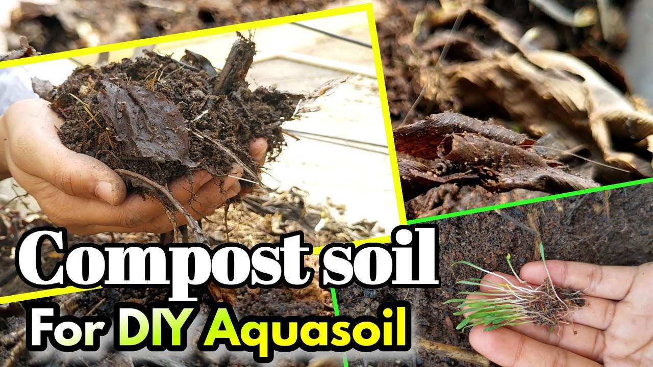 How to Make COMPOST at Home for aquarium plants & diy aquasoil|Diy ...