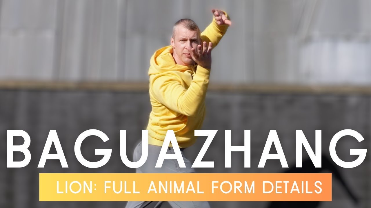 Baguazhang Lion form | The Details - YouTube