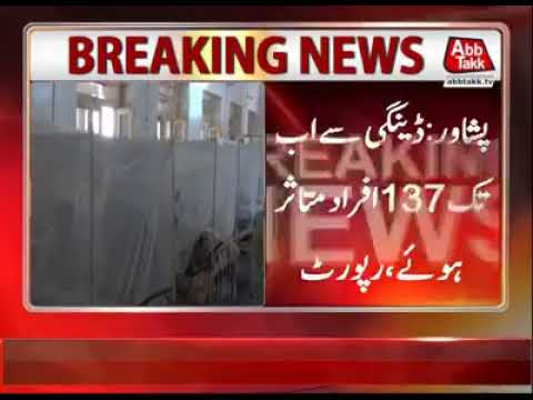 Dengue Death News Bpr Abb Takk Tv