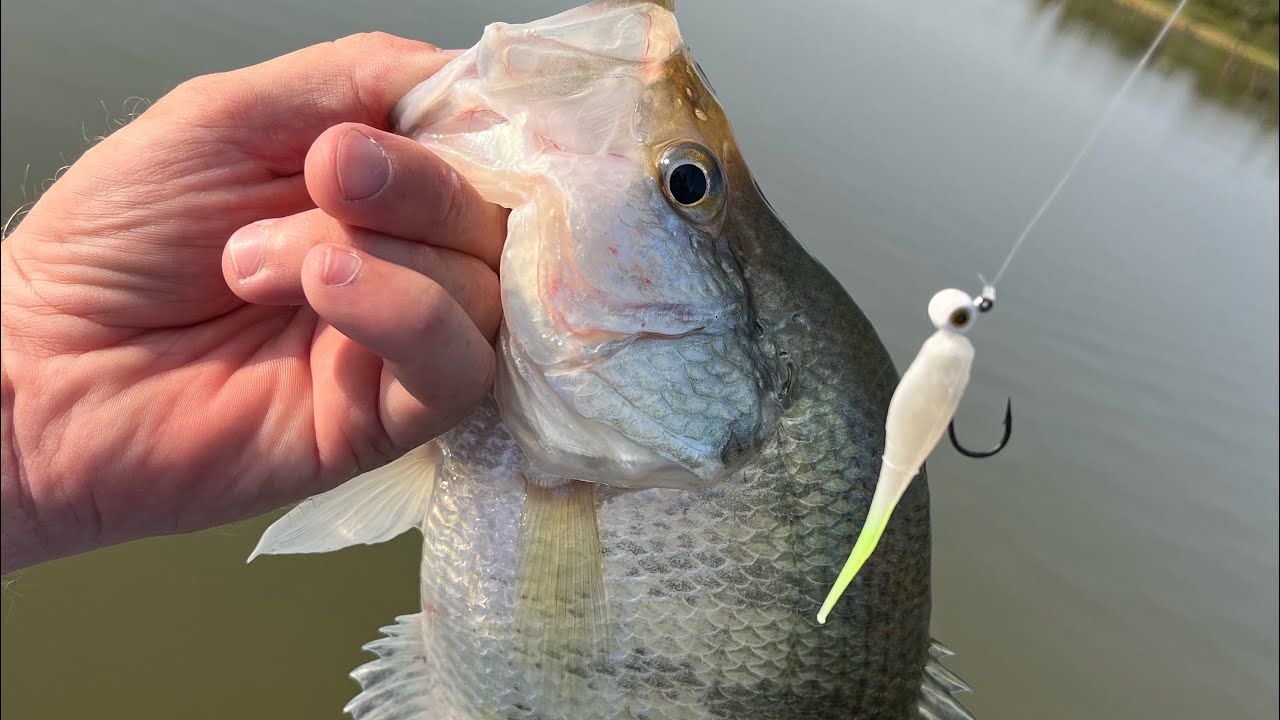 Crappie fishing rigs 101 - YouTube