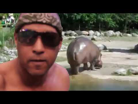 Viper - Chainsaw (Hipo At Tha Zoo)
