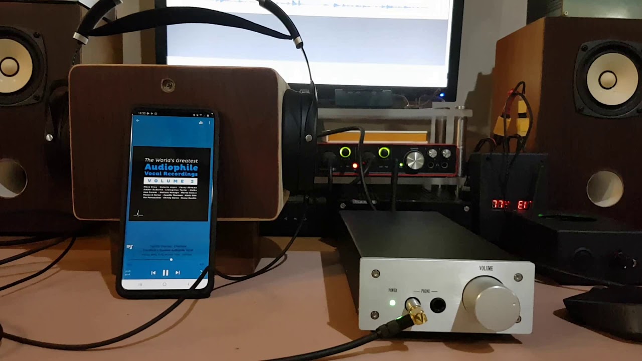 Hifiman Sundara with DIY Lehm*** headphone amp kit + BT5.0 connection ...