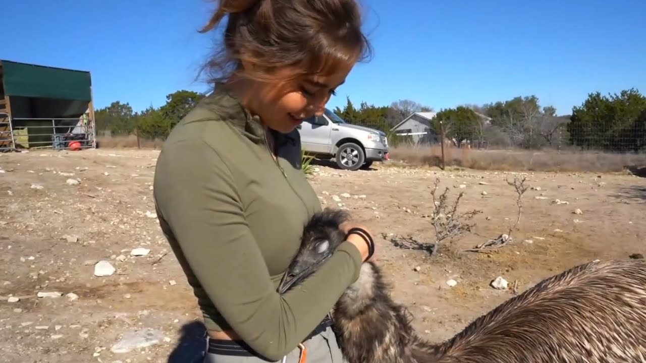 Maya spends some quality time with Stompy at Alveus - YouTube