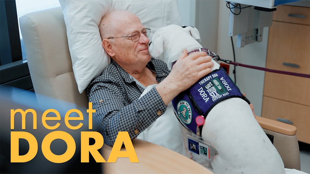 Dora the Therapy Dog - YouTube