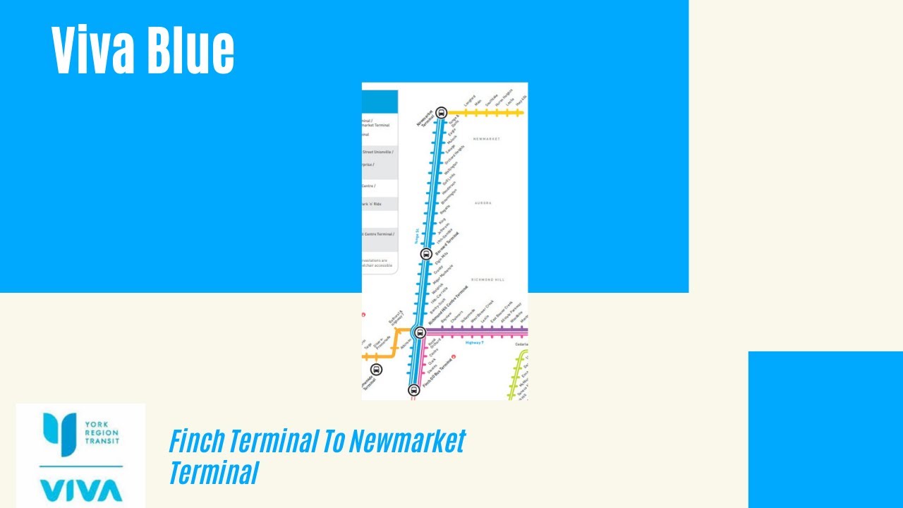 Viva Blue - Finch Terminal To Newmarket Terminal - Full Route - YouTube