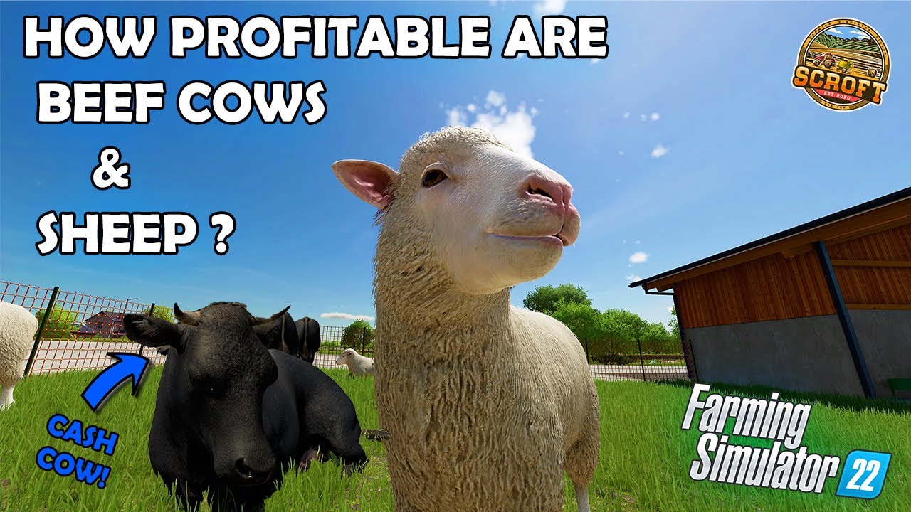 How Profitable Are Beef Cows & Sheep?! | Farming Simulator 22 - YouTube