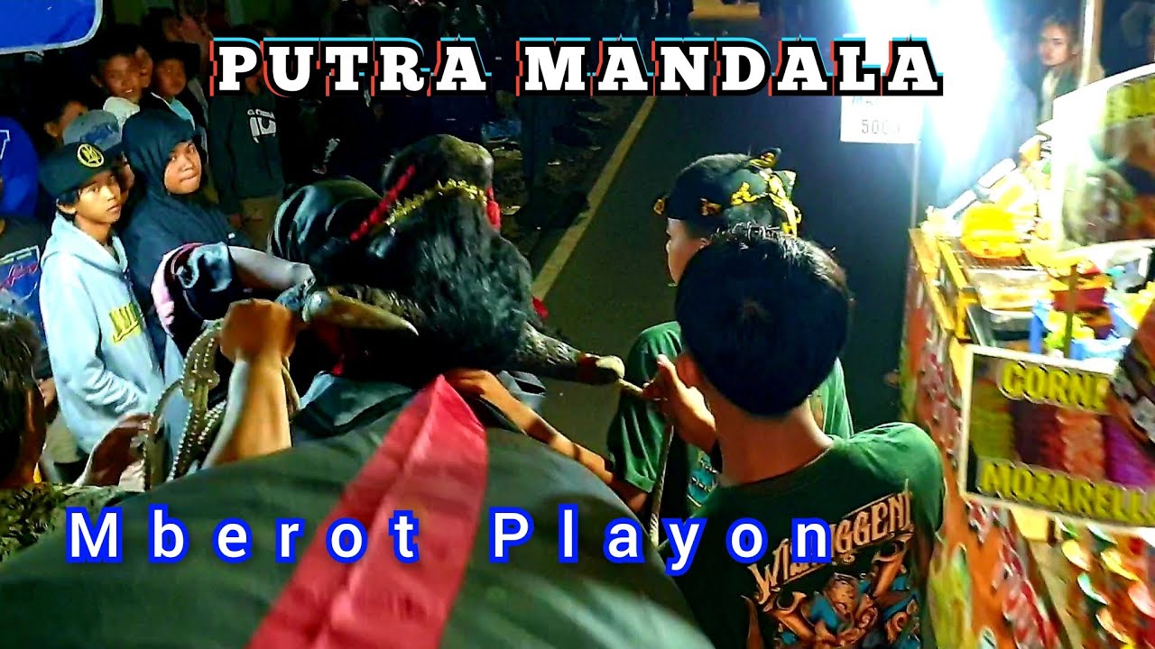 Banteng PUTRA MANDALA Terbaru Live Buring Cemorokandang - YouTube