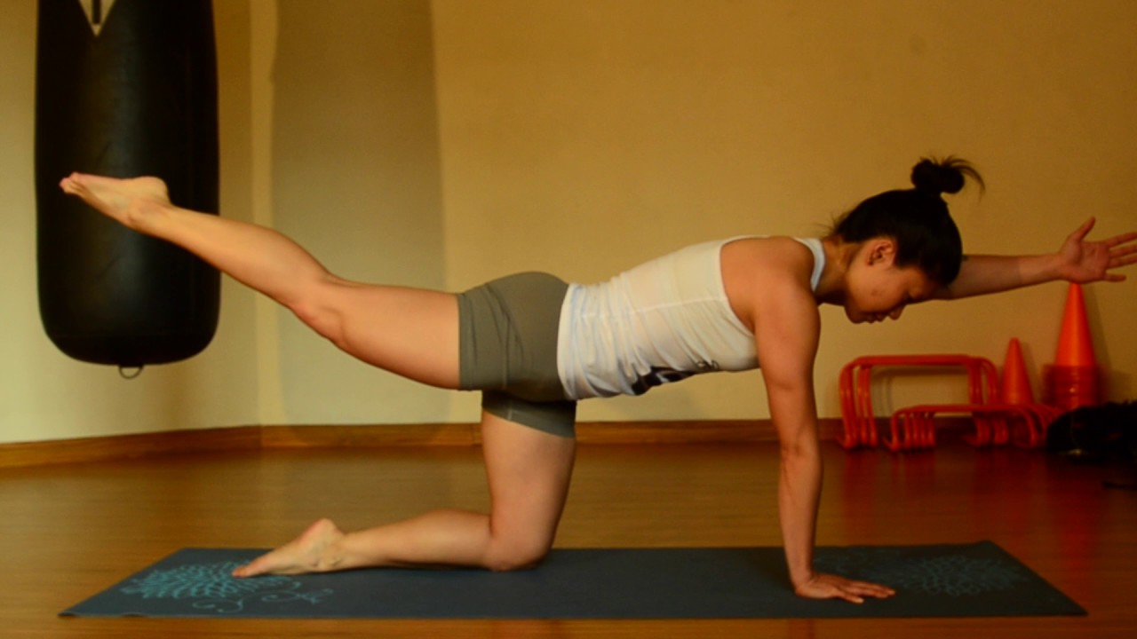 Static Bird Dog (alternating arm-leg raises) - YouTube