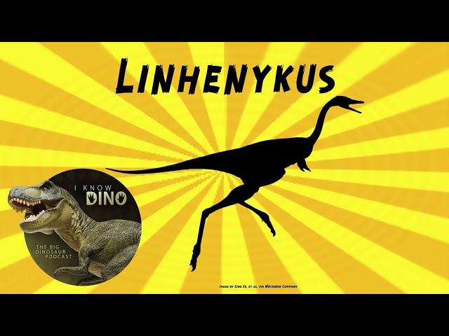 Linhenykus