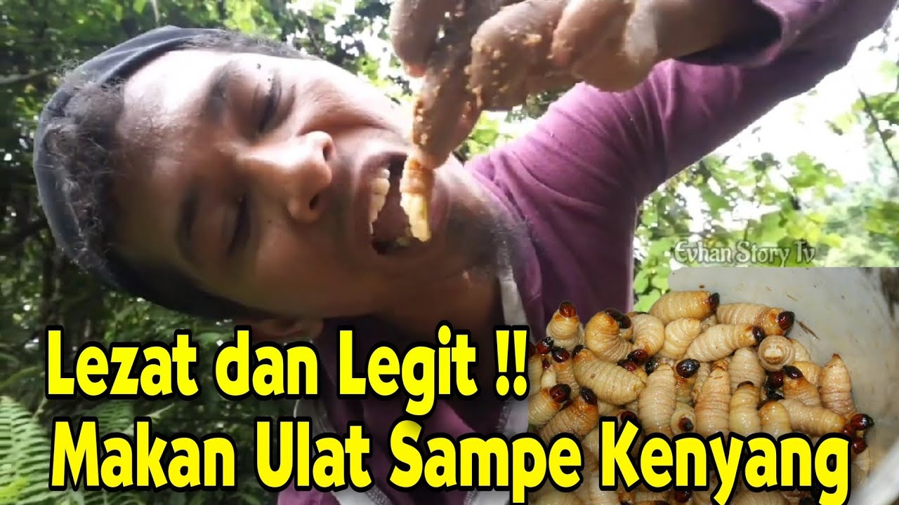 MAKAN ULAT SAMPAI KENYANG Rasanya Lezat dan Legit Part 2 - YouTube